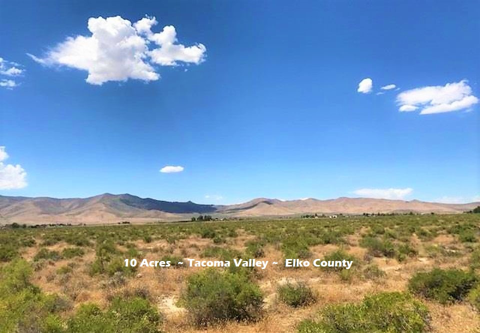 10AC Tacoma Valley | yesterdaysland.com